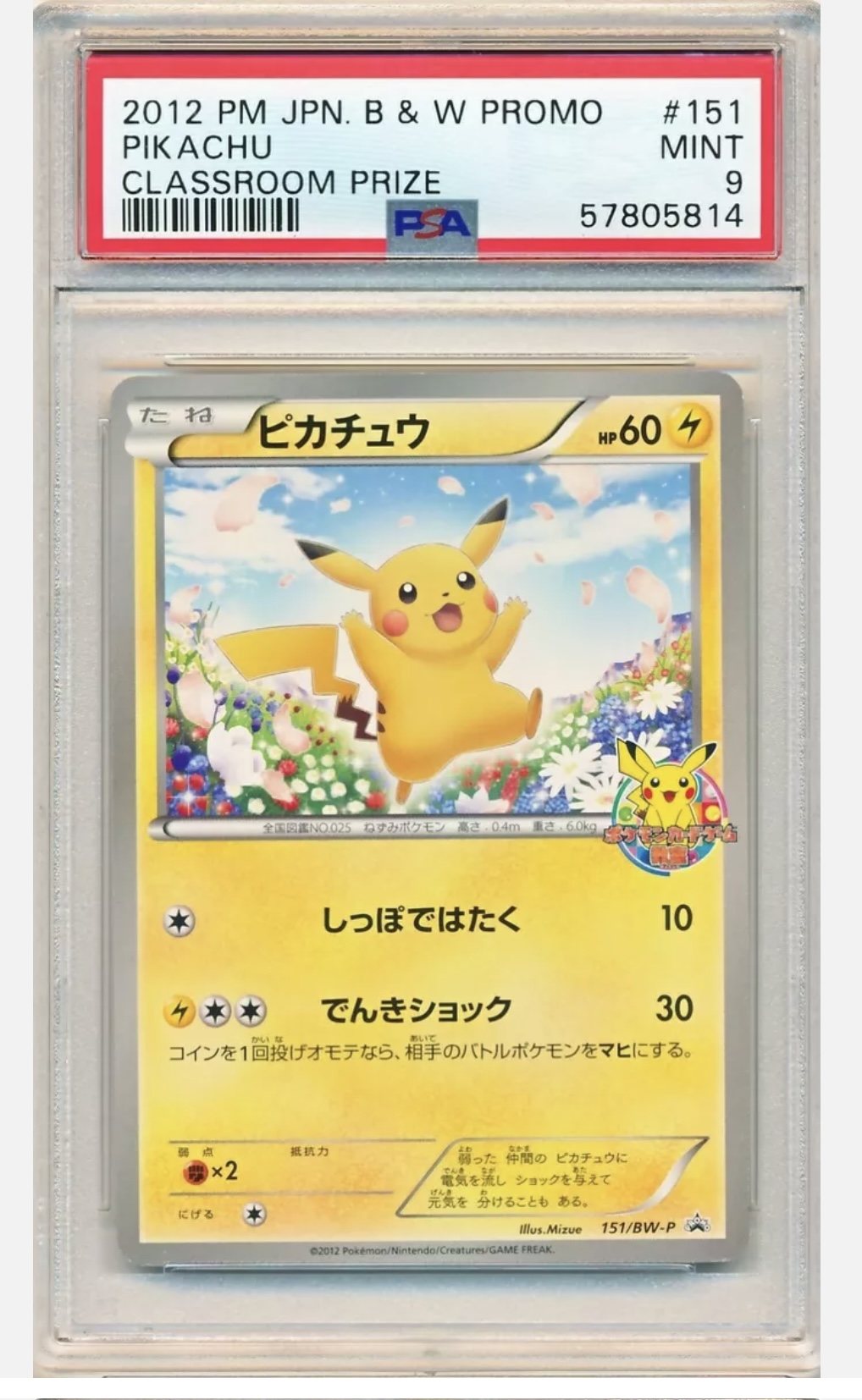 Pikachu BW 151 - way low under the radar? - Market - Elite Fourum