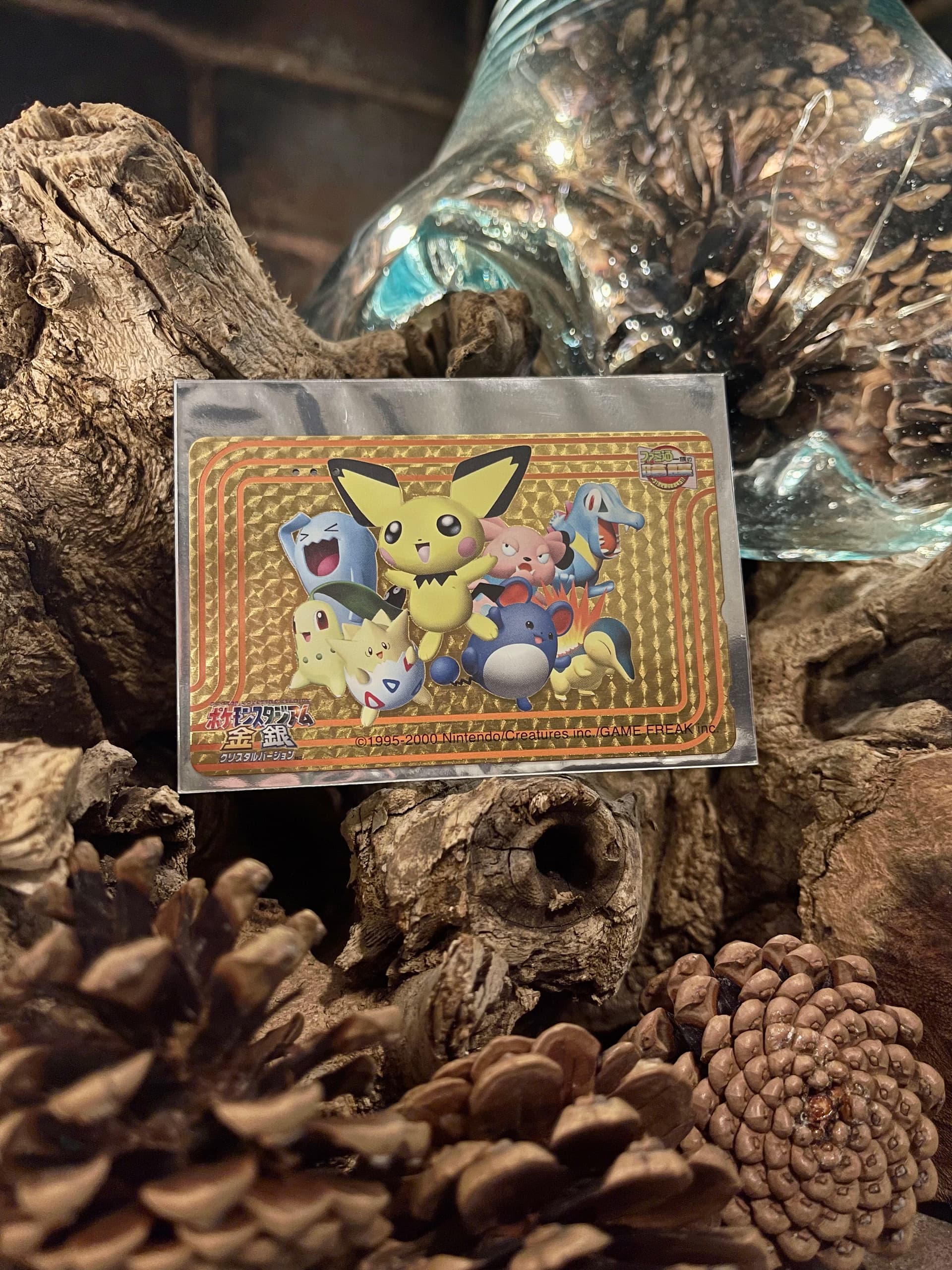 Pokemon Phone Card Holes - General - Elite Fourum